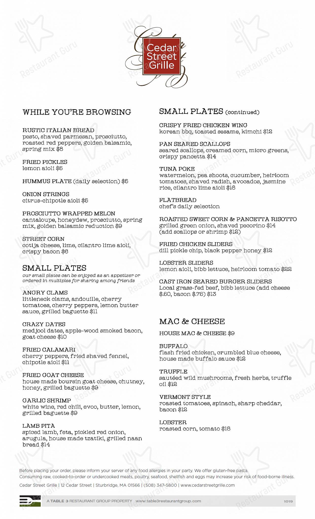 Menu at Cedar Street Grille pub & bar, Sturbridge