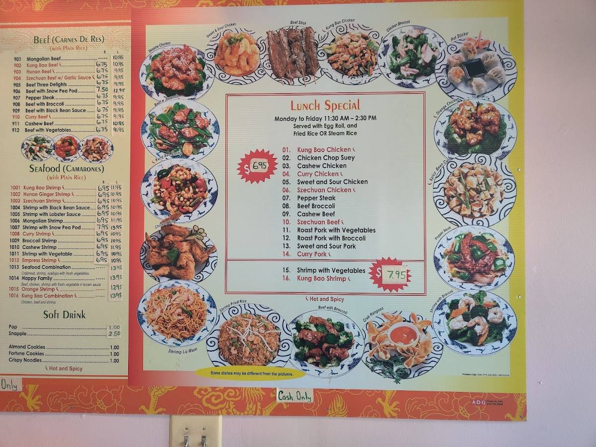 Menu at Dragon Gate fast food, Chicago