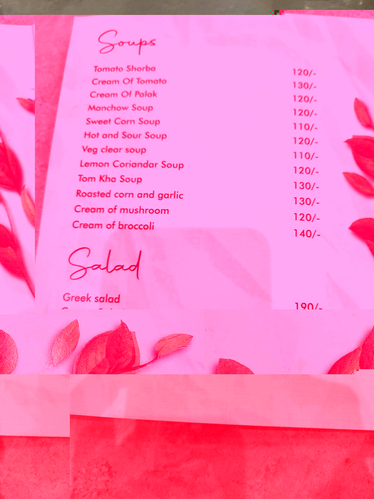 Menu at House Of Veg, Pune
