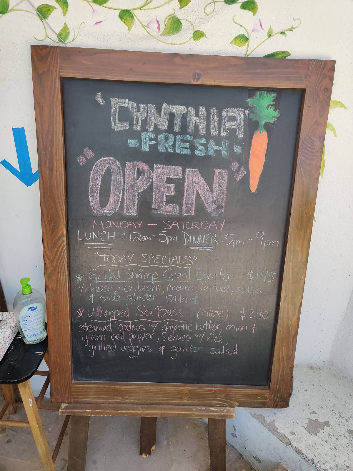 Menu at Cynthia Fresh restaurant, San José del Cabo