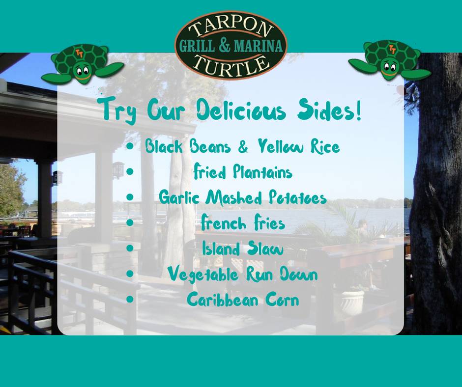 Menu at Tarpon Turtle Waterfront Grill restaurant, Tarpon Springs