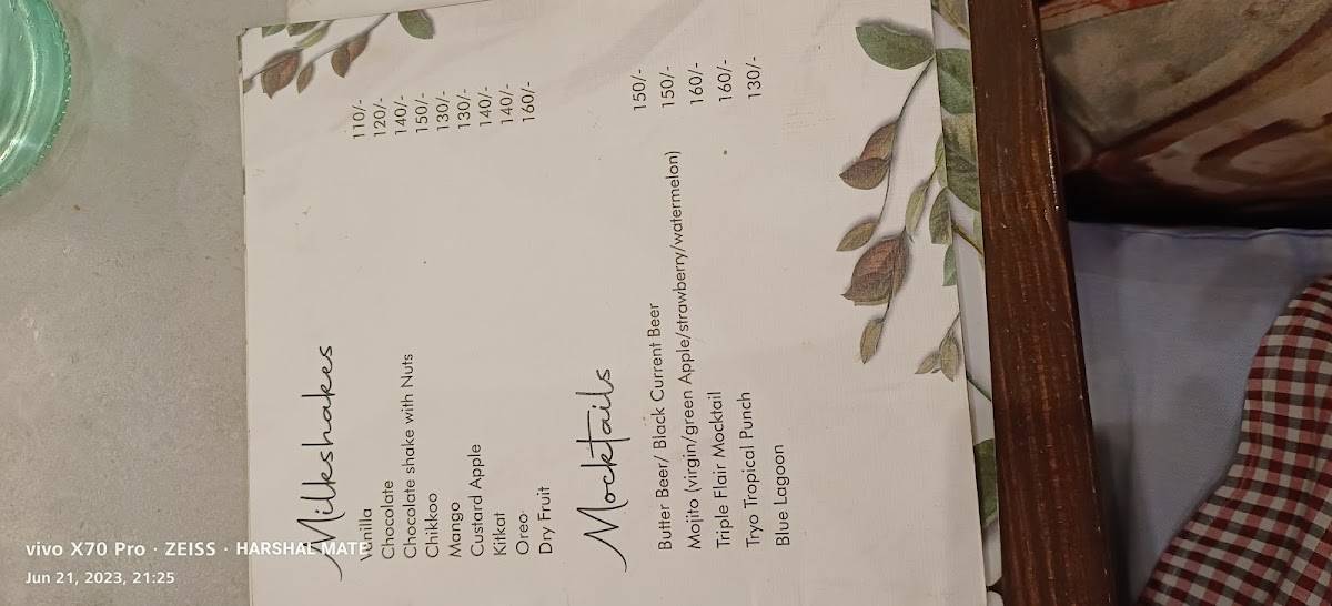 Menu at House Of Veg, Pune