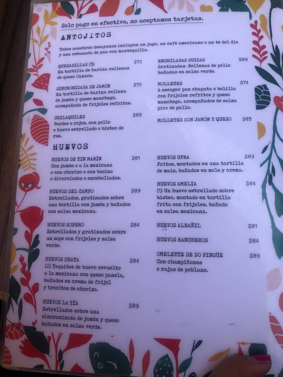 Menu at La Tía restaurant, Mexico City, Manuel María Contreras 20