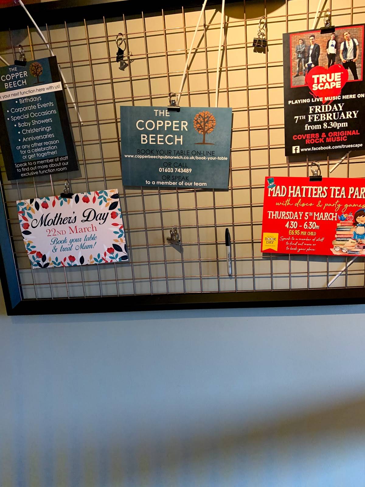 Menu at Copper Beech pub & bar, Norwich, Alex Moorhouse Way