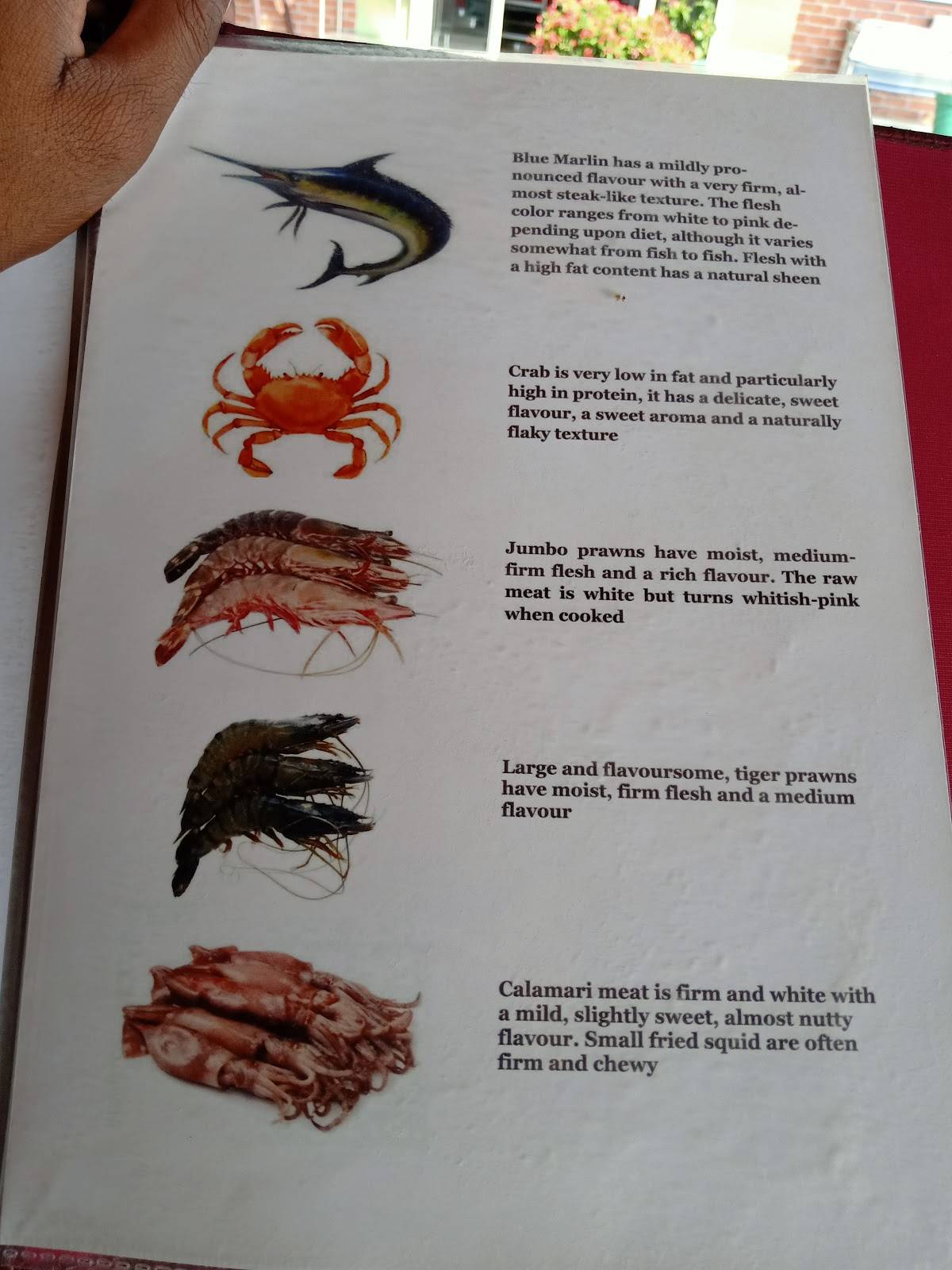 Menu at ABBA Restaurant & Everest German Bakery Varkala, Varkala