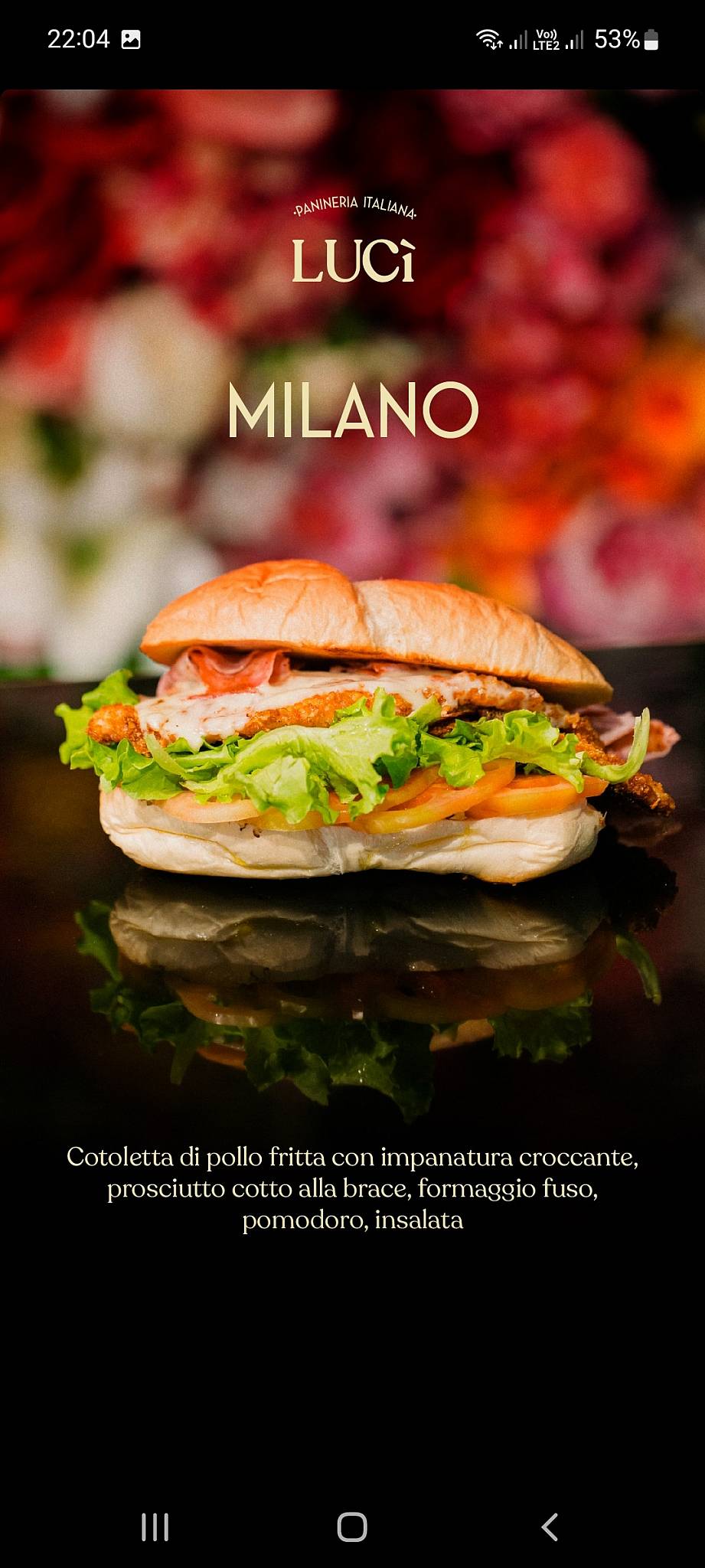 Menu da Lucì Panineria Italiana ristorante, Camposano