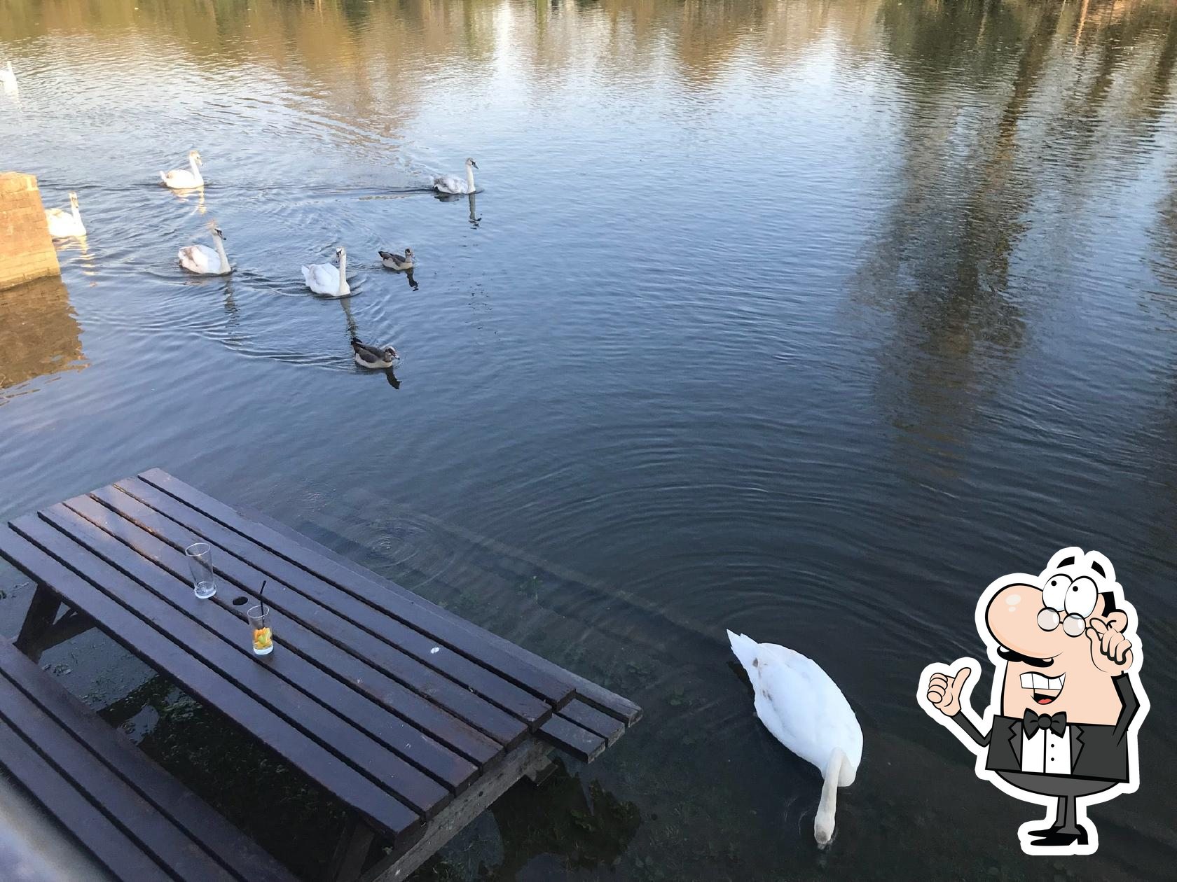 London Apprentice, Isleworth - Restaurant menu, prices and reviews