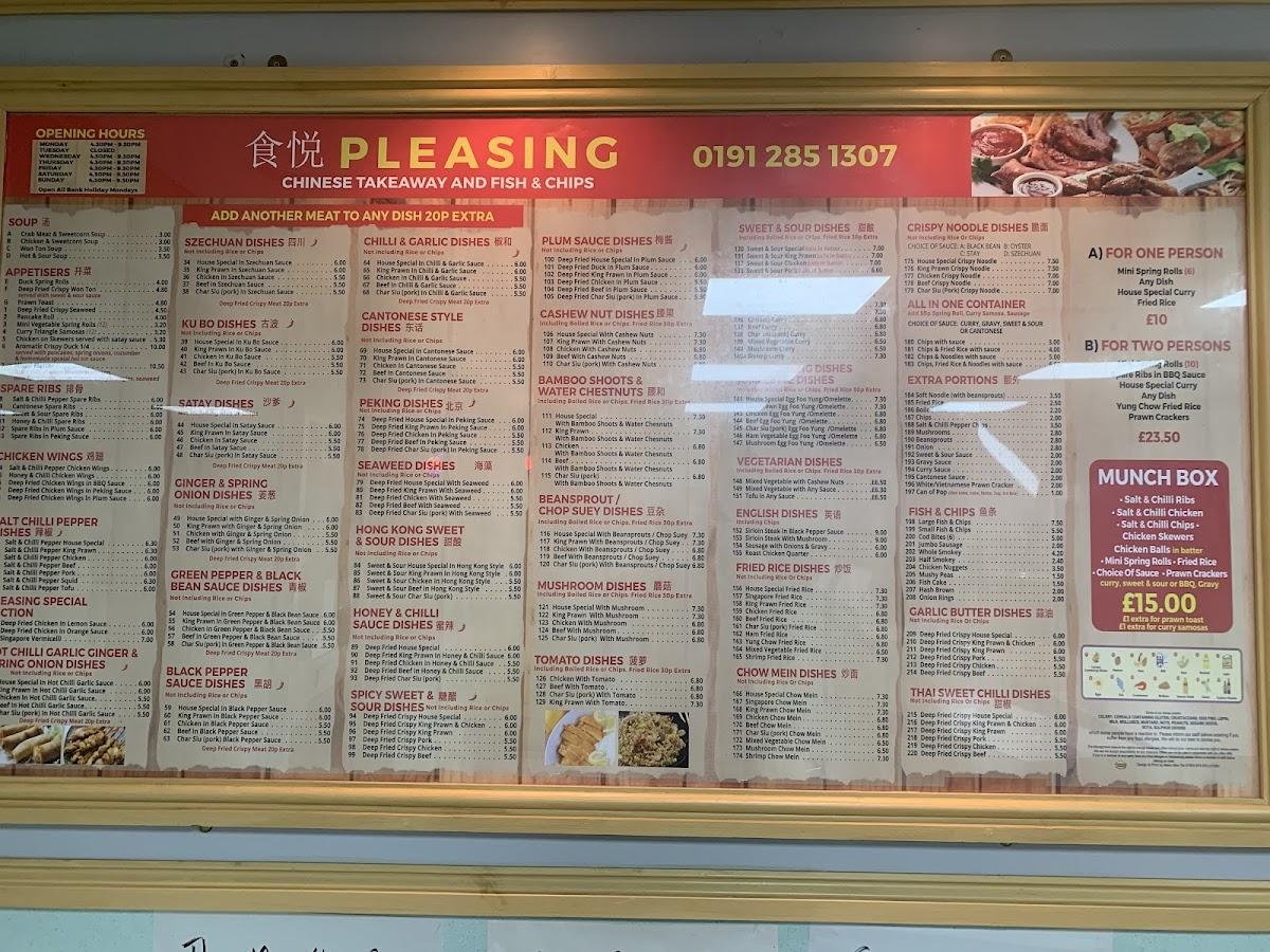 Menu at Pleasing Chinese Takeaway restaurant, Newcastle upon Tyne