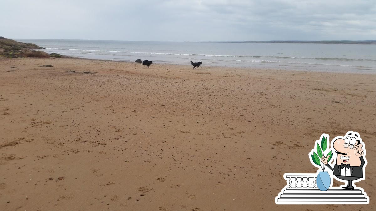 Rosemarkie Beach Cafe in Rosemarkie - Restaurant reviews