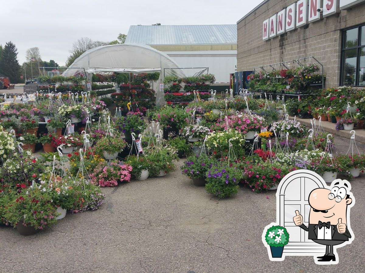 Hansen S Iga West Salem