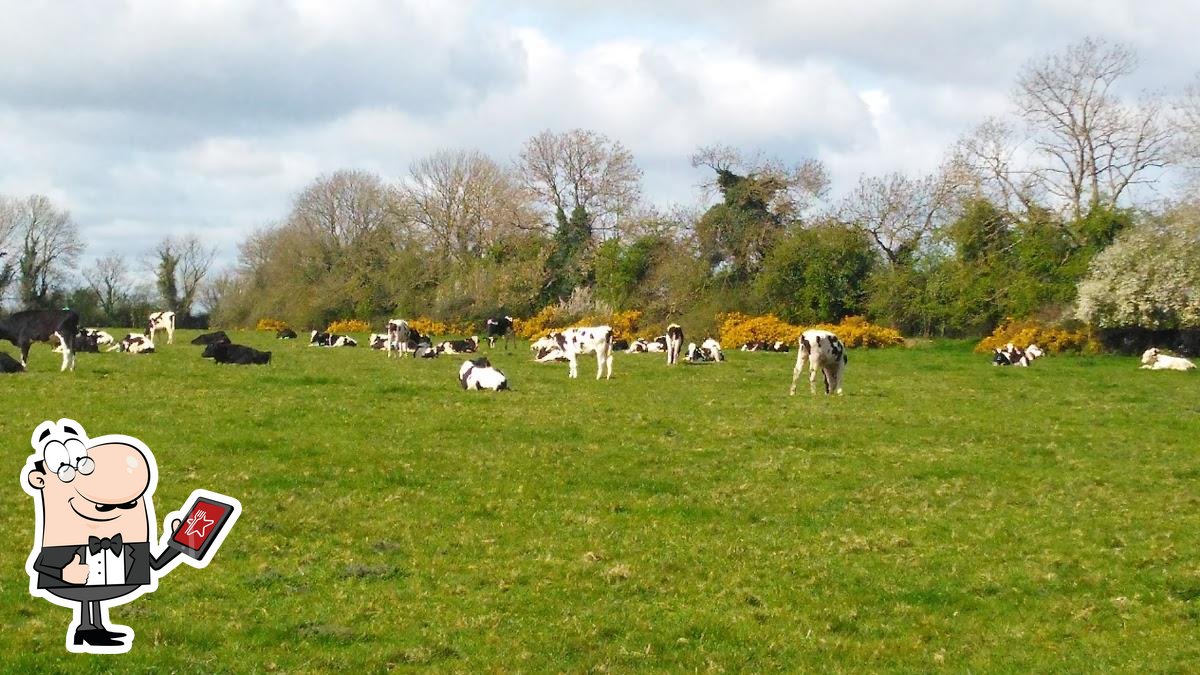 Clonfert Pet Farm in Ireland - Restaurant reviews