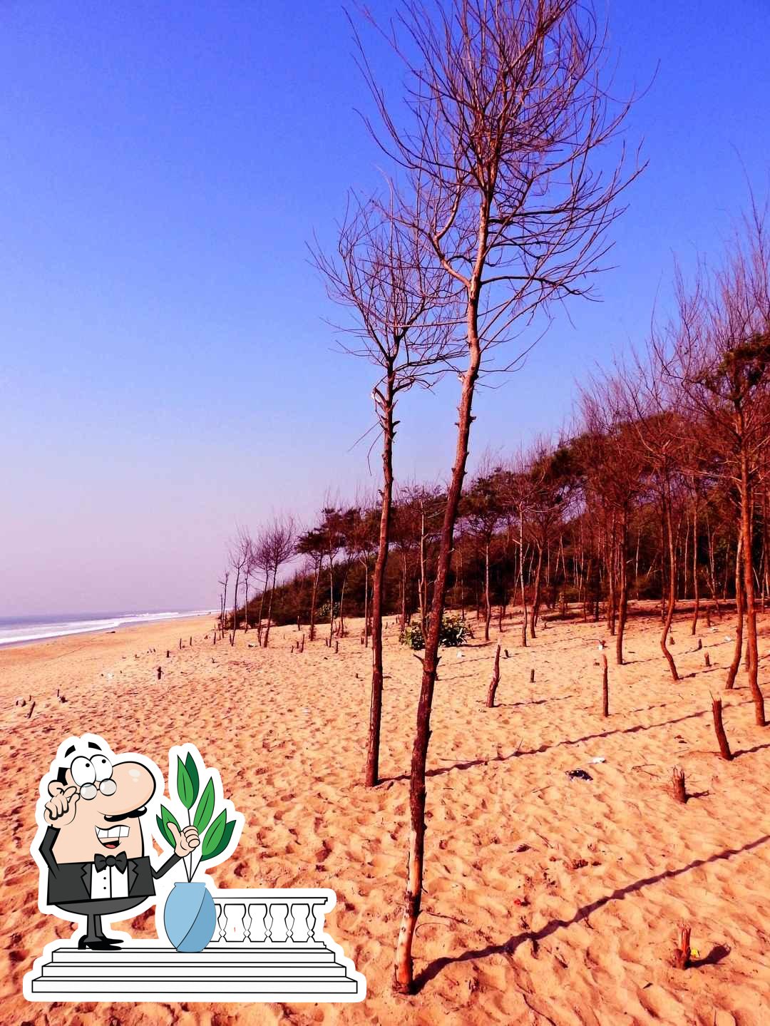 Chandrabhaga Golden Sea Beach, Konark - Restaurant reviews