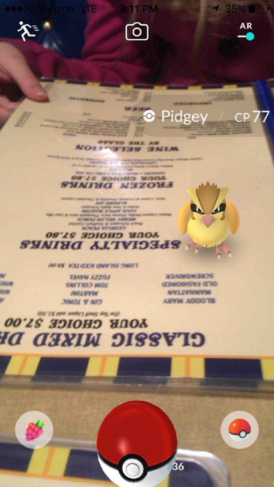 Menu at Capital City Diner restaurant, Albany, Western Ave