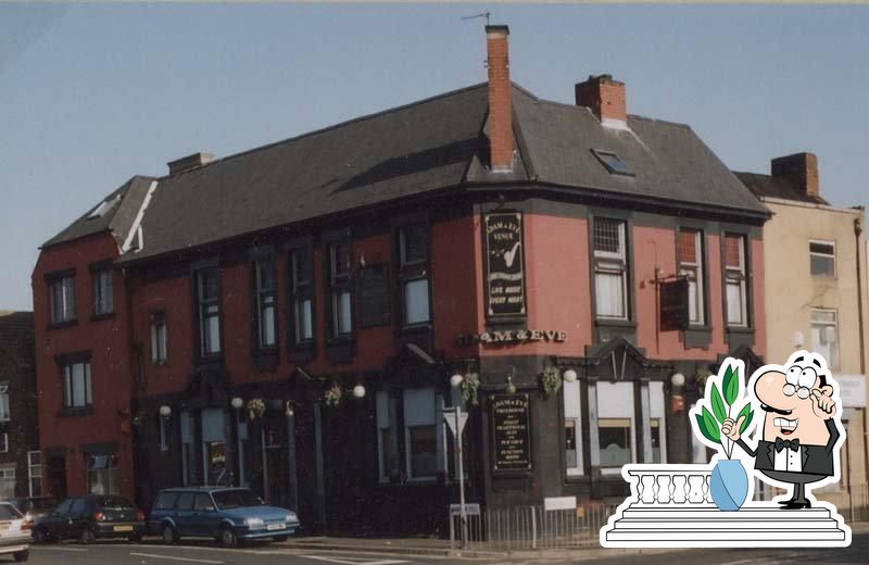 Evolve at the Adam & Eve in Birmingham - Restaurant reviews