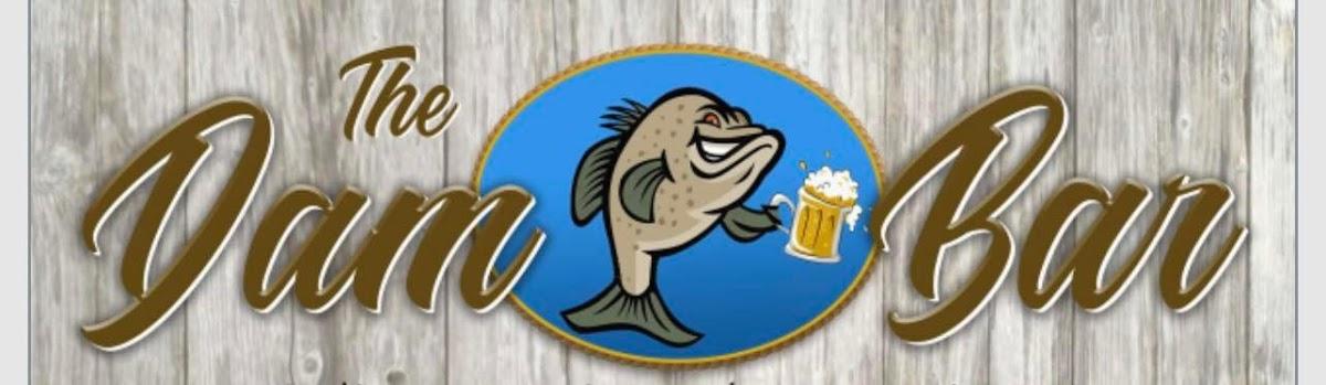 The Dam Bar & Grill in Andersonville - Restaurant reviews