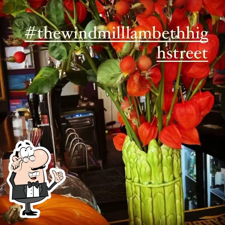 The Windmill Pub, London - Restaurant menu, prices and reviews