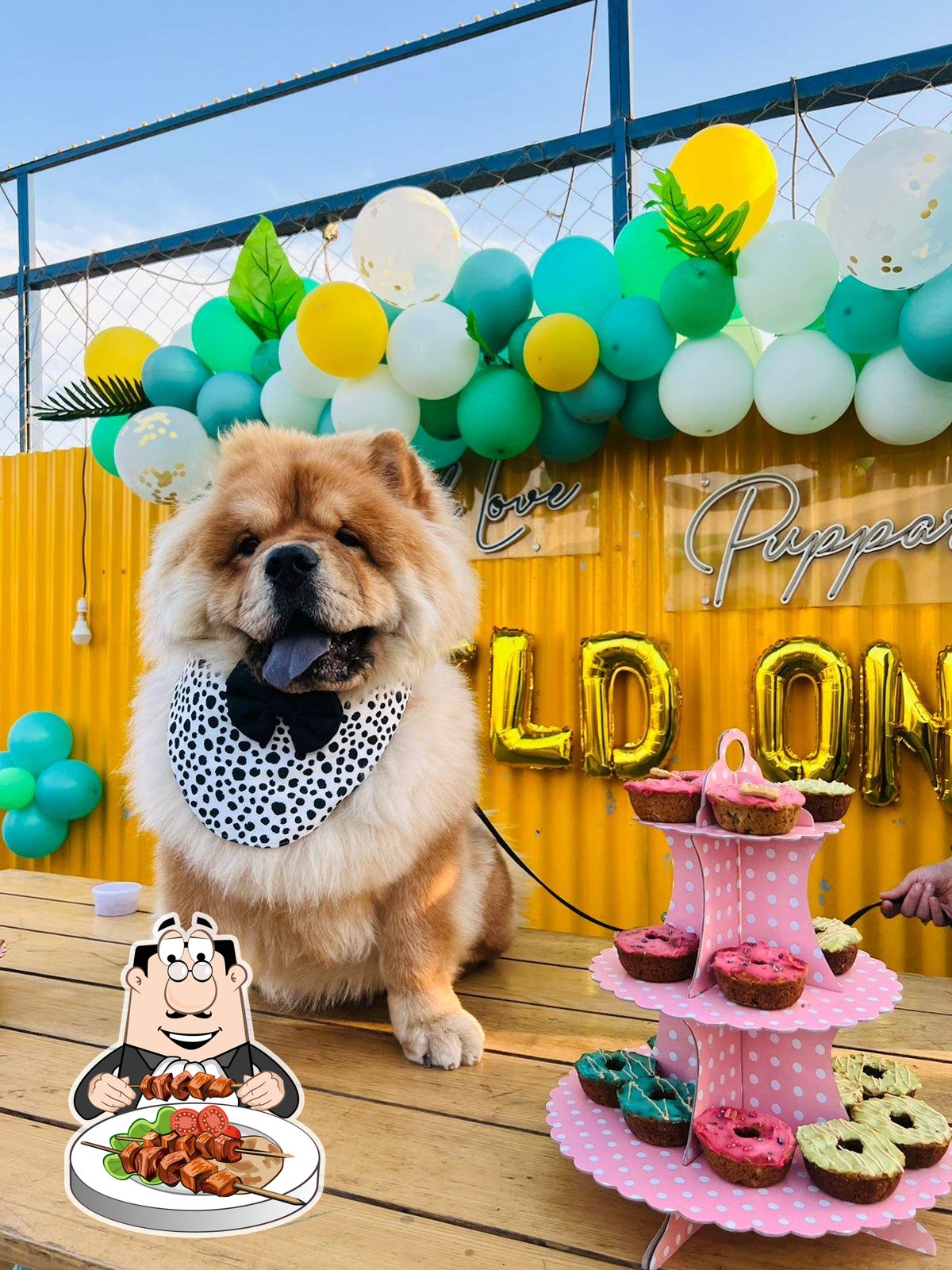PawPups Pet Bakery Ahmedabad, Ahmedabad - Restaurant menu, prices and ...