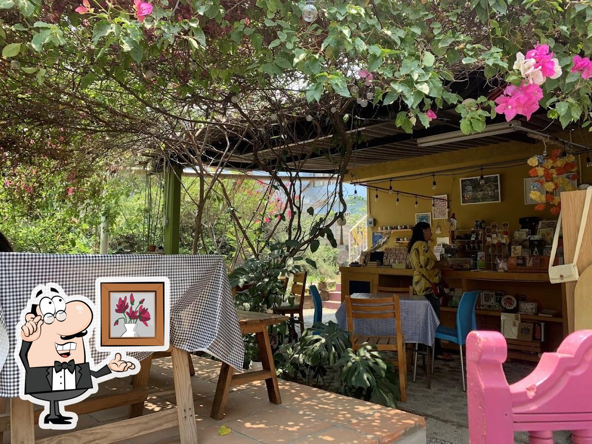 El Jardín de Xolotl, Cuernavaca - Menú del restaurante, precios y reseñas
