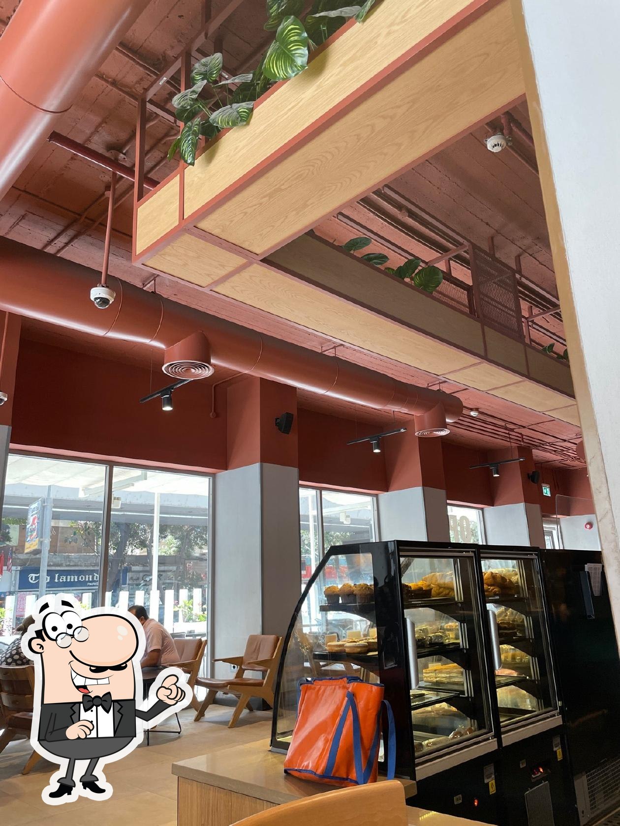 Starbucks cafe, Cairo, German Academic Exchange DAAD - Restaurant reviews