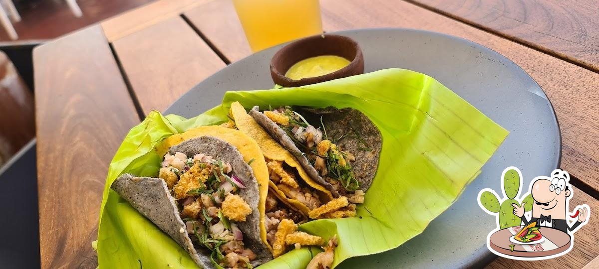 Restaurante Tierra del Sol Cultura Gastronómica, Oaxaca, Reforma 411 ...