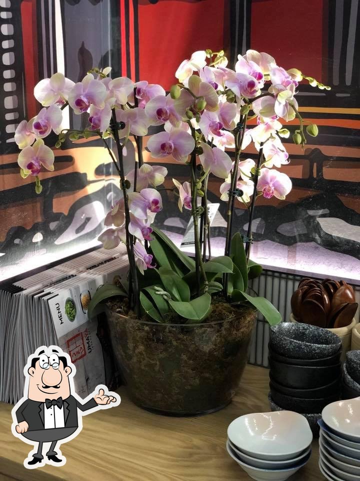 Umaya Japanese Restaurant, Kirrawee - Restaurant menu, prices and reviews