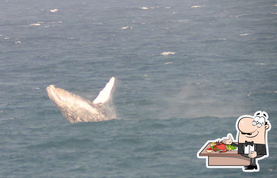 Orca's Beach Bar & Grill, Port Shepstone - Restaurant reviews
