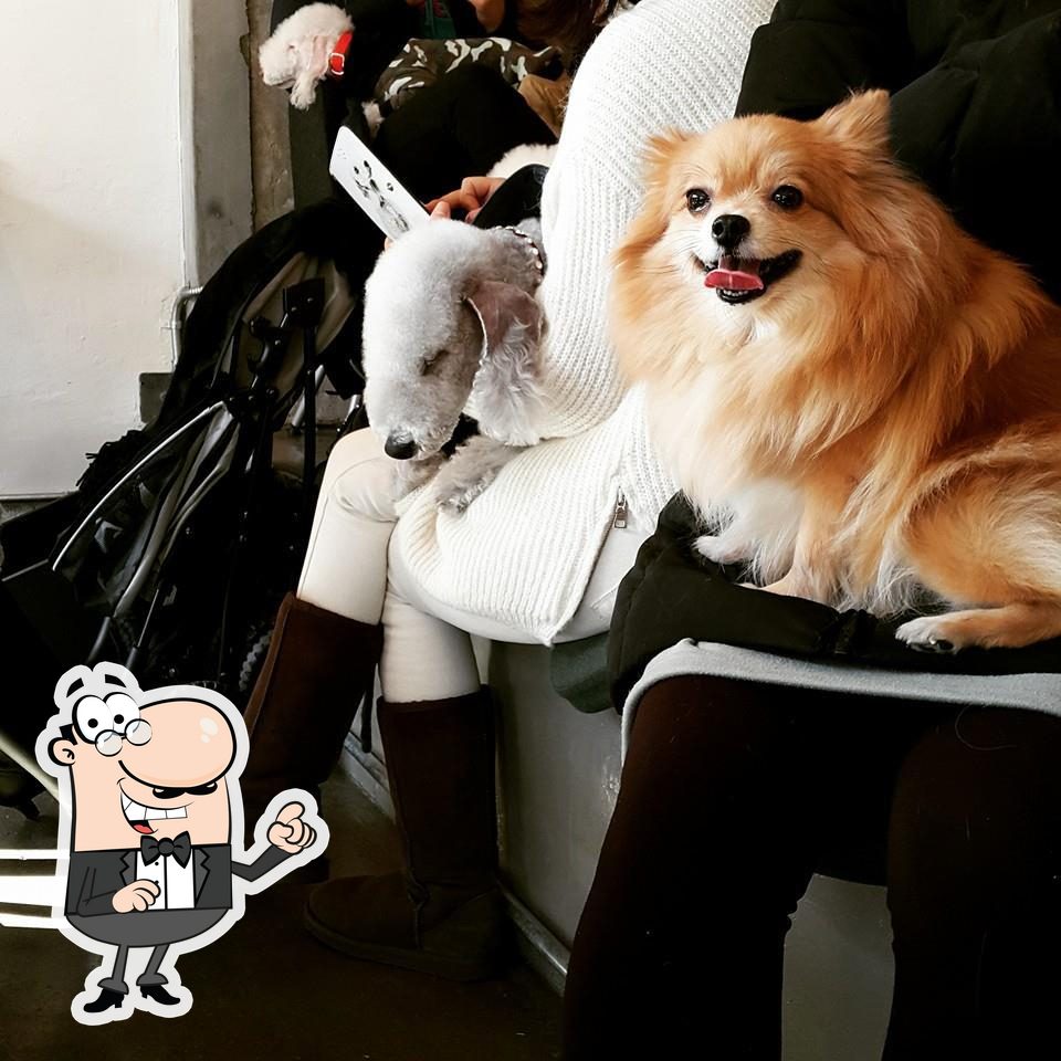 Berkeley Coffee Social cafe, Seoul - Restaurant reviews