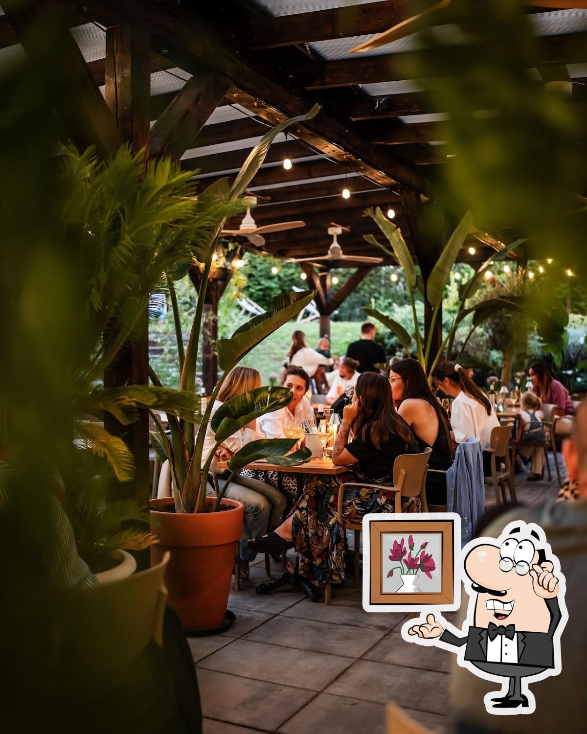 Avionetka Garden, Kraków - Menu restauracji, ceny i recenzje