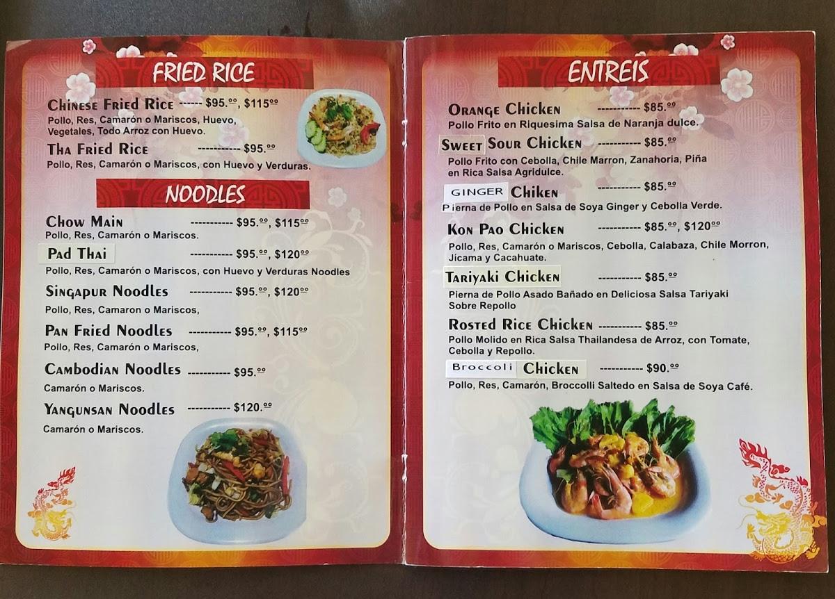 Menu at Yin Yang Asian Cusine restaurant, Mexico