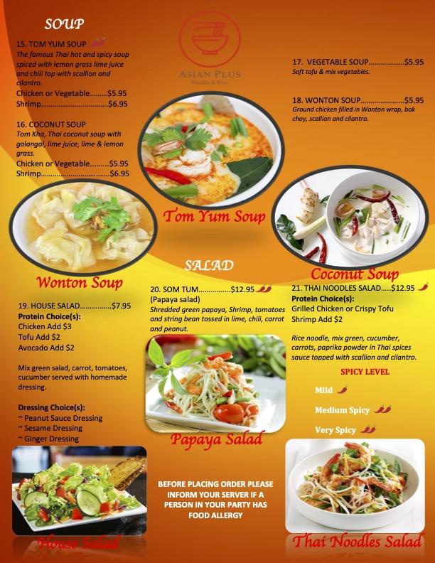 Menu at Asian Plus Noodle & Rice restaurant, Westford