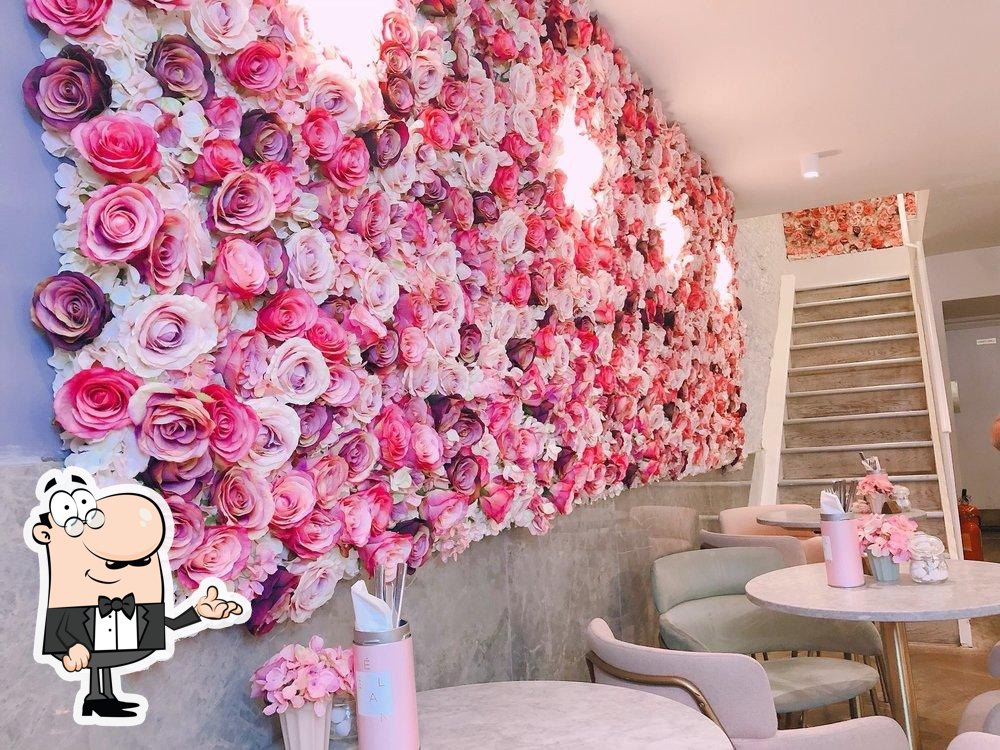 EL&N London, London, South Kensington - Restaurant menu, prices and reviews