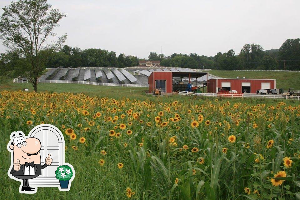 Wampler's Farm Sausage in Lenoir City - Restaurant reviews