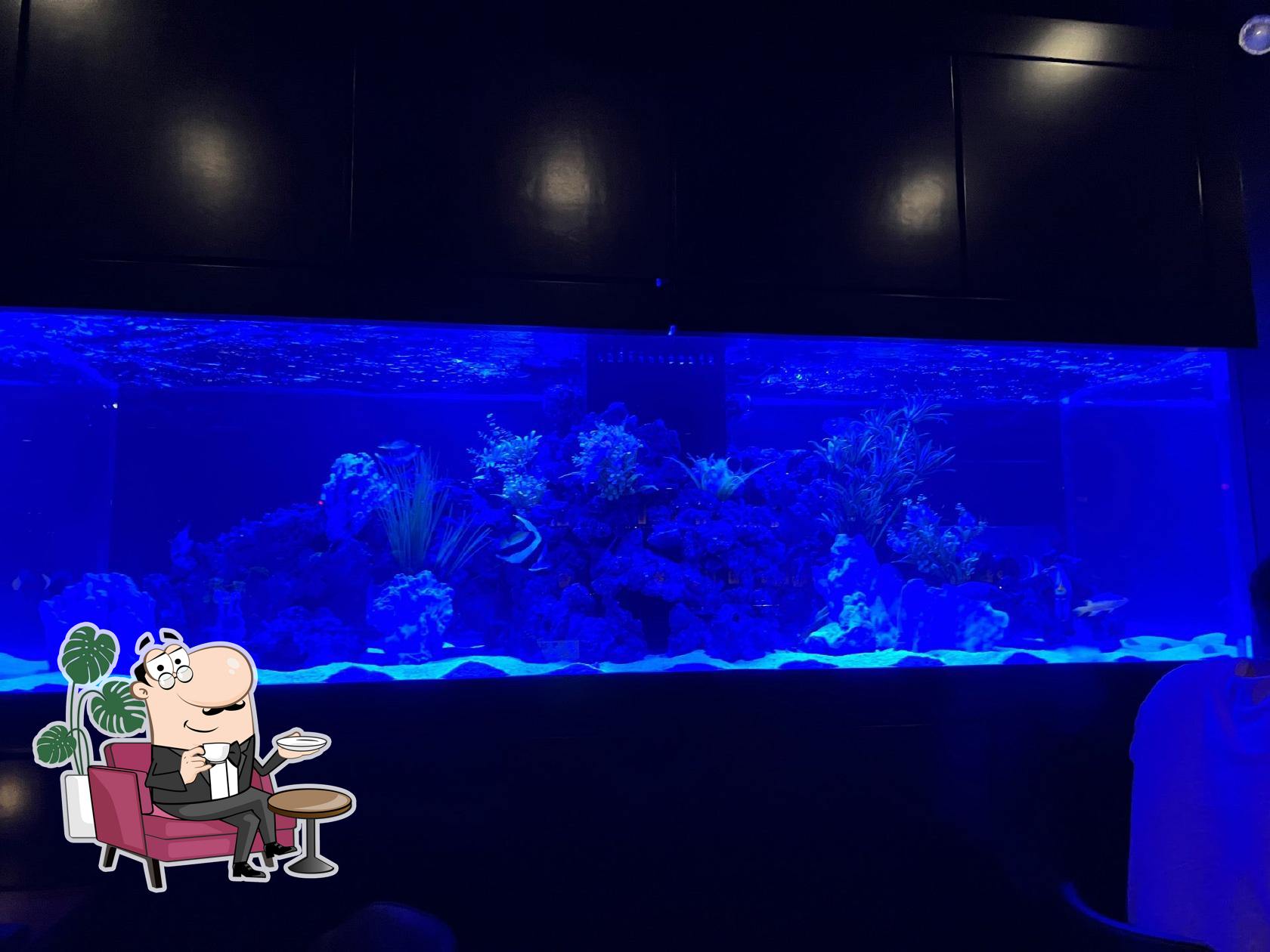 Lost Reef Lounge in Chicago - Restaurant menu and reviews