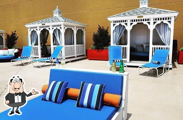 Blue Parrot Rooftop Beach And Pool Bar, Atlantic City - Opiniones del ...