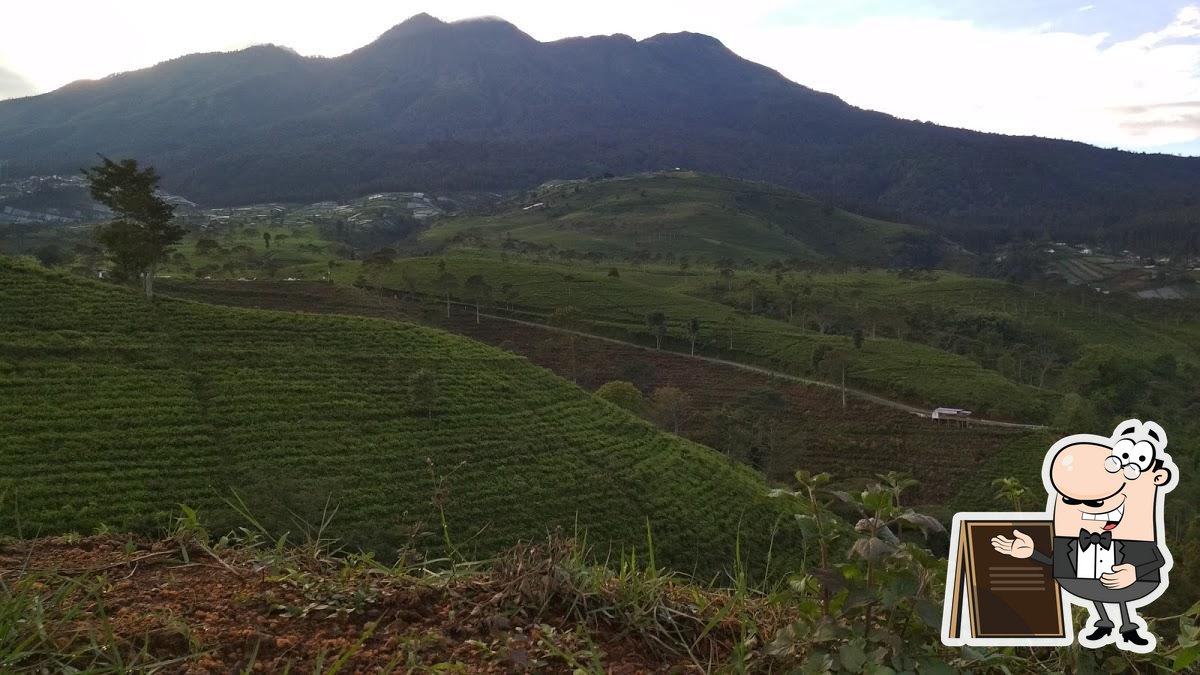 Kebun Teh Kemuning, Puntukrejo - Restaurant reviews
