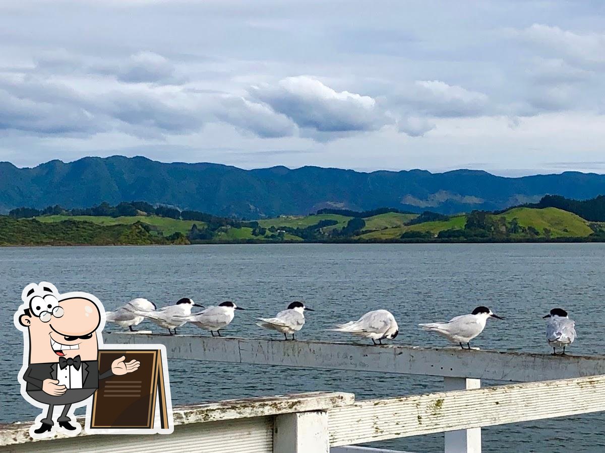 Boatshed Cafe in Rawene - Restaurant reviews