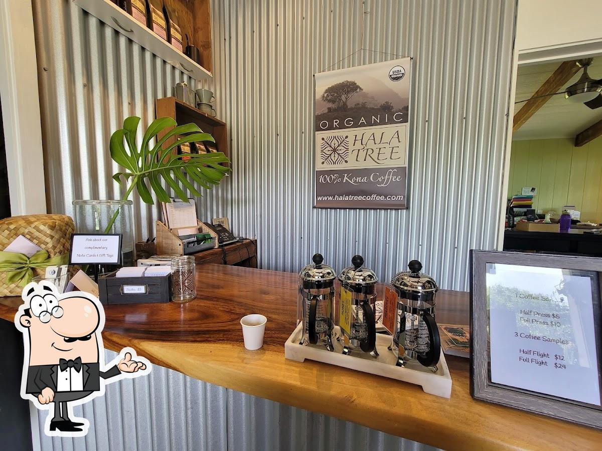 Hala Tree Coffee in Captain Cook - Restaurant menu and reviews