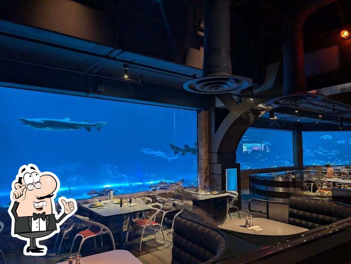 Sharks Underwater Grill, Orlando - Restaurant menu, prices and reviews
