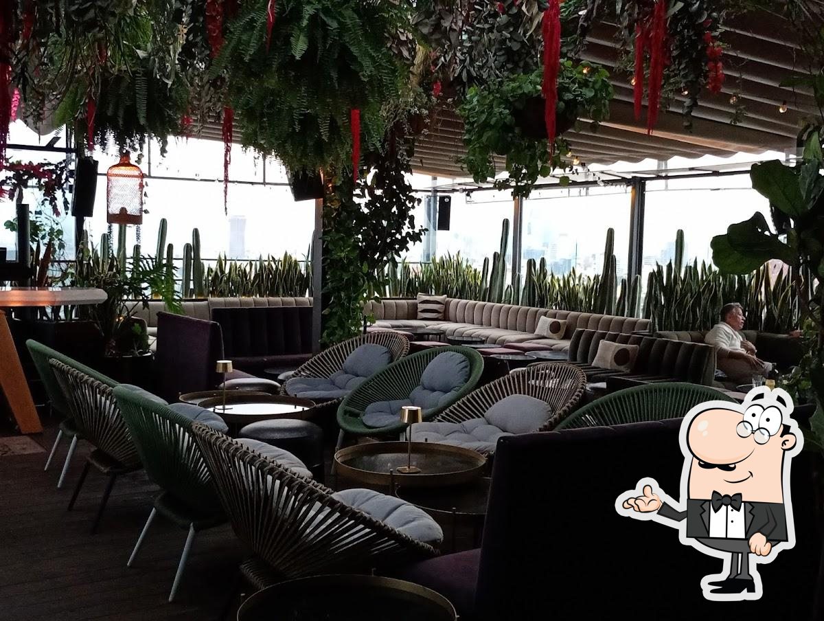 Supra Roma Rooftop, Ciudad de México - Menú del restaurante, precios y ...