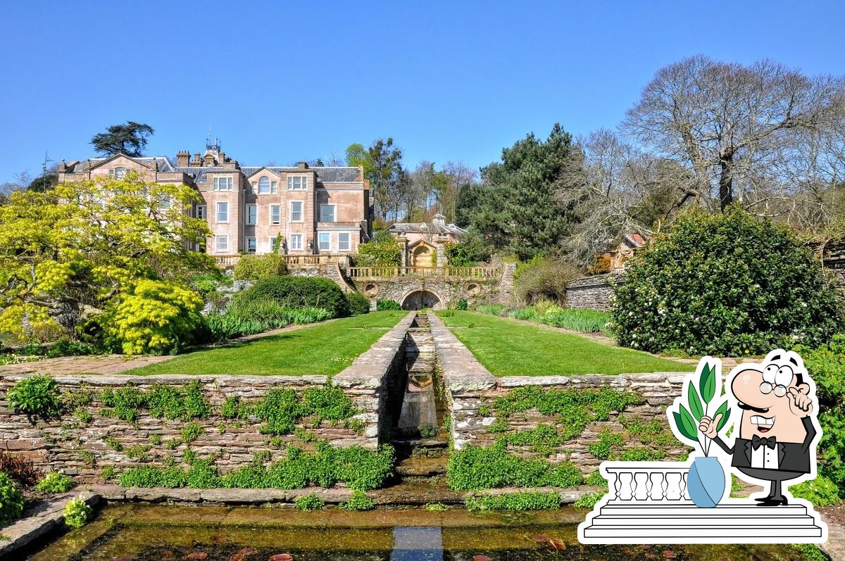 Hestercombe House & Gardens in Taunton - Restaurant menu and reviews