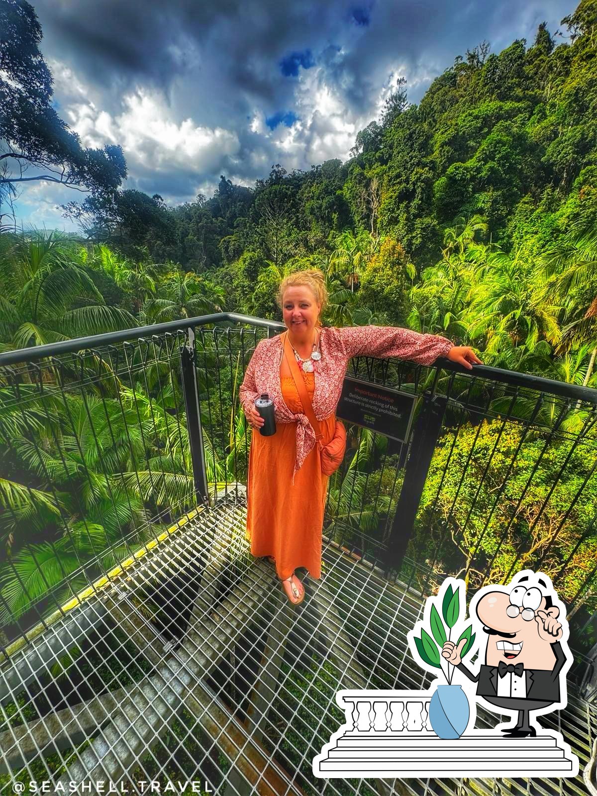Tamborine Rainforest Skywalk Cafe ️ in Tamborine Mountain