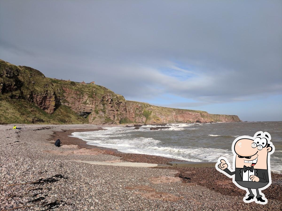 The But 'n' Ben in Arbroath - Restaurant menu and reviews