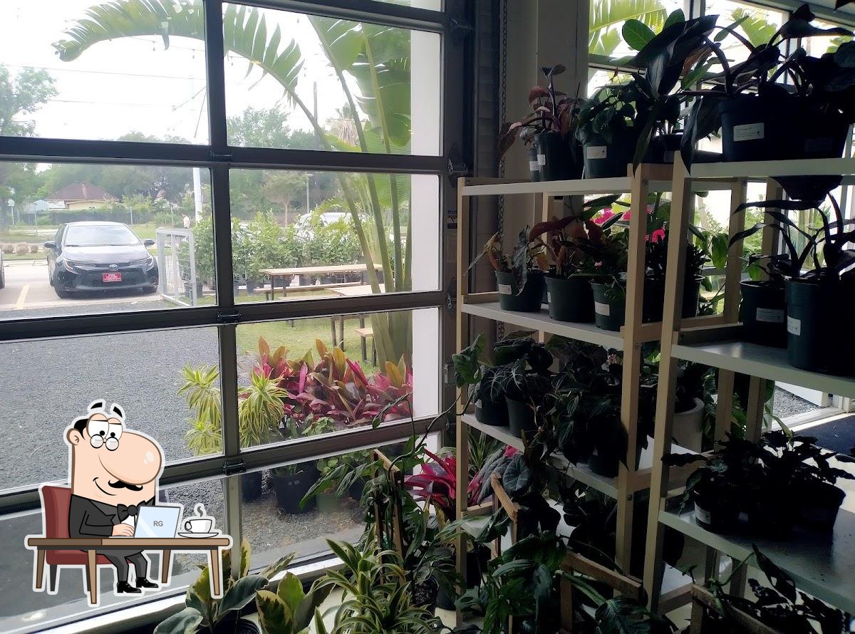 Eden Plant Co., Houston - Restaurant menu, prices and reviews