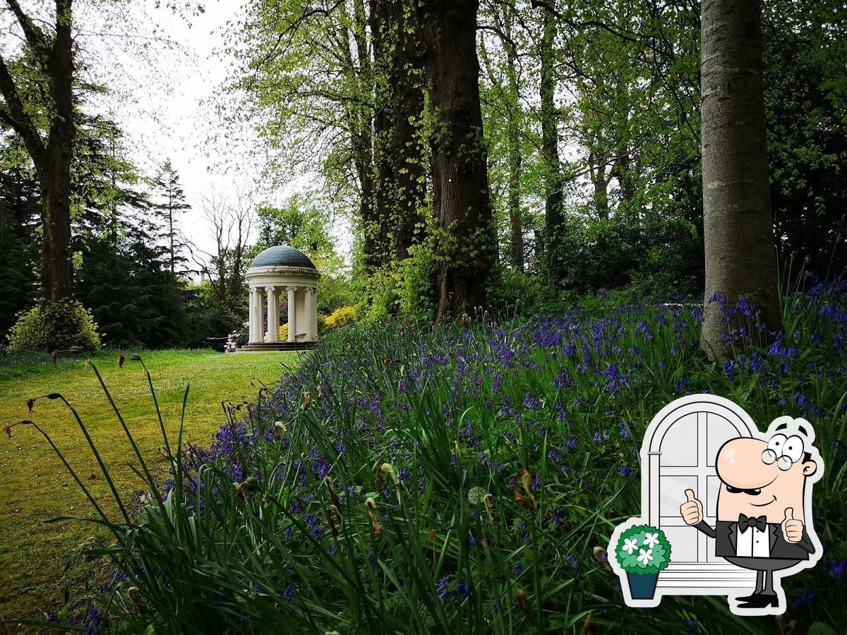 Hillsborough Castle Cafe in Hillsborough - Restaurant reviews