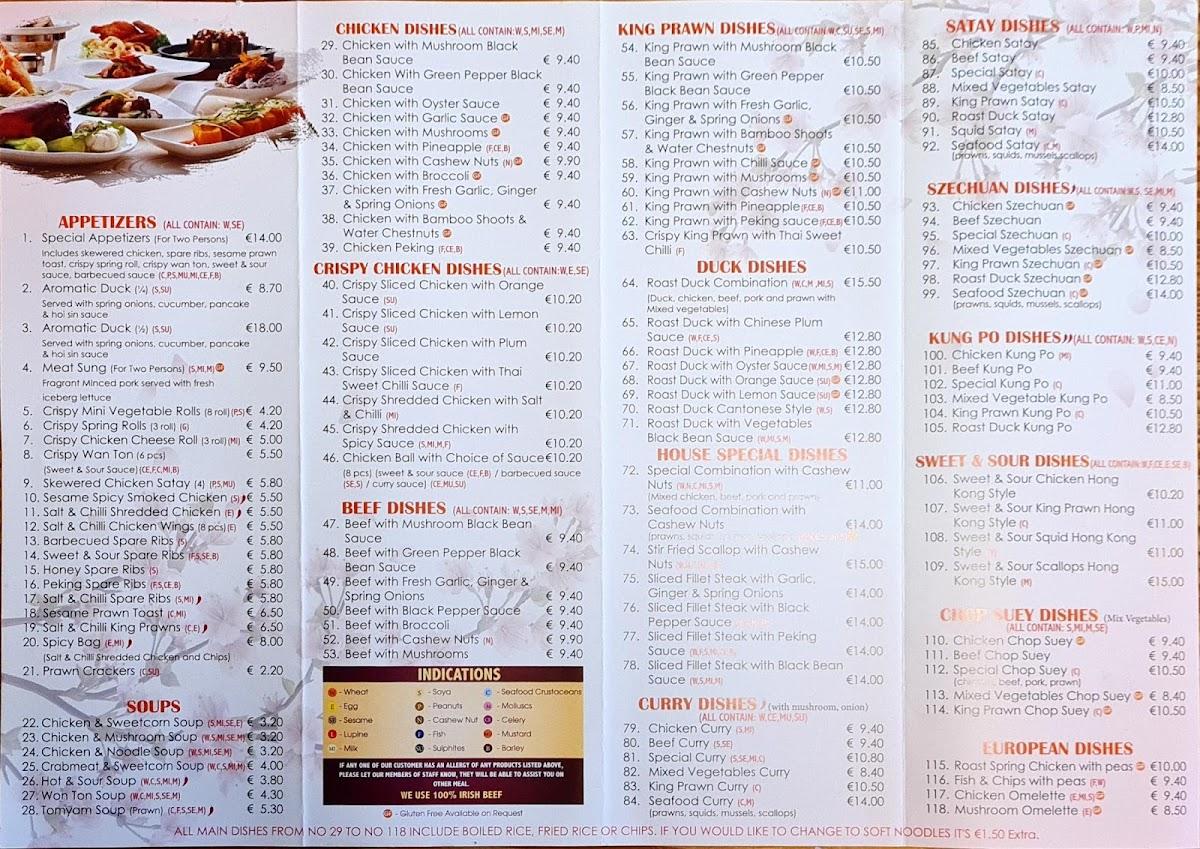 Menu at Four Seasons Chinese Restaurant, Kanturk