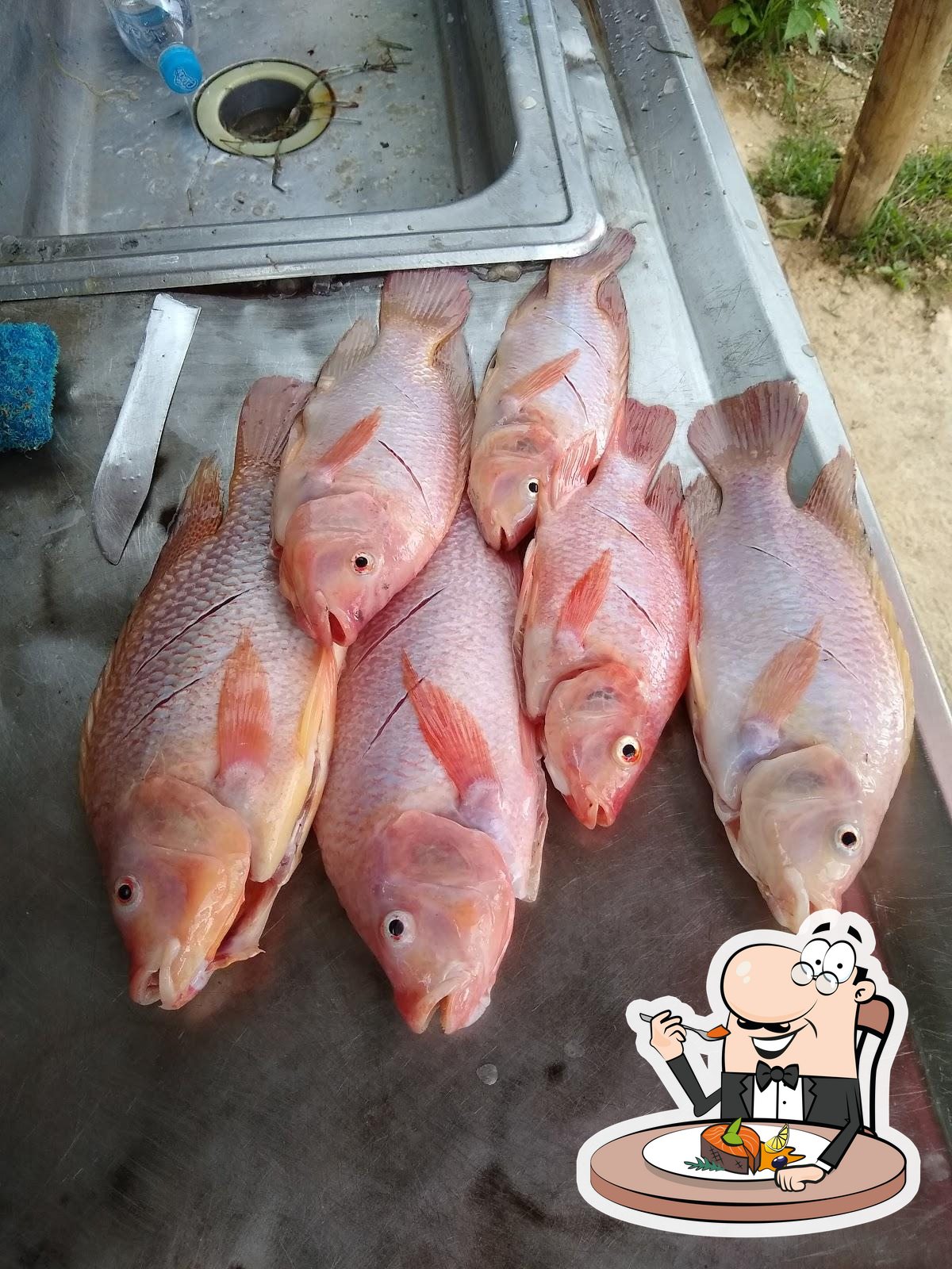 Pesca Deportiva El Timon Restaurante, Turbaco - Restaurant reviews