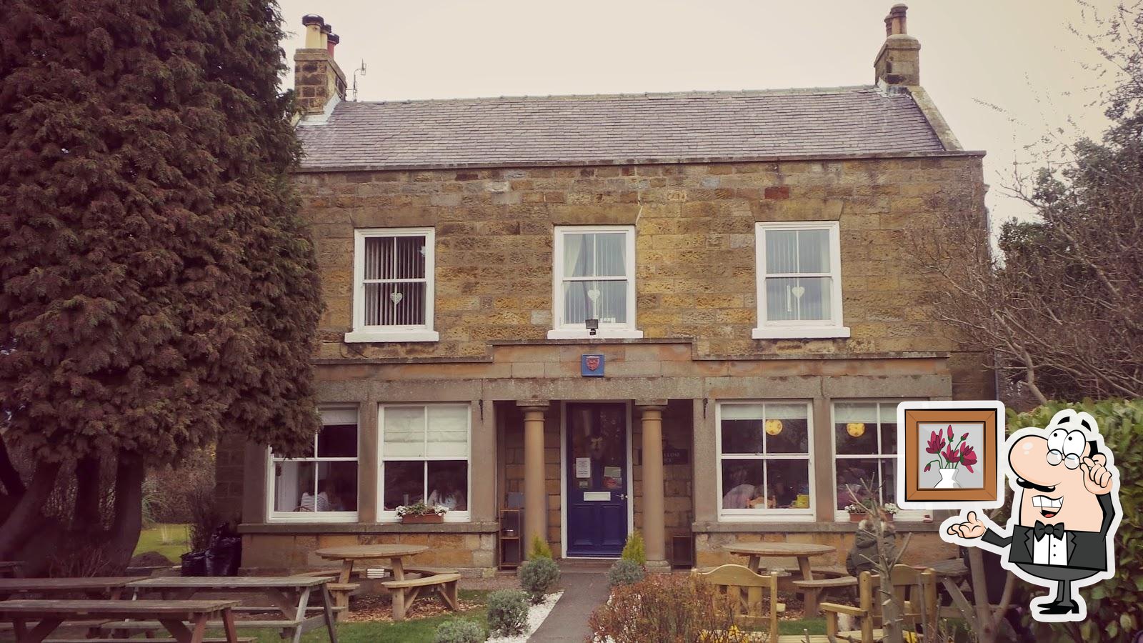 Daisy Tea Rooms, Scarborough - Restaurant menu, prices and reviews