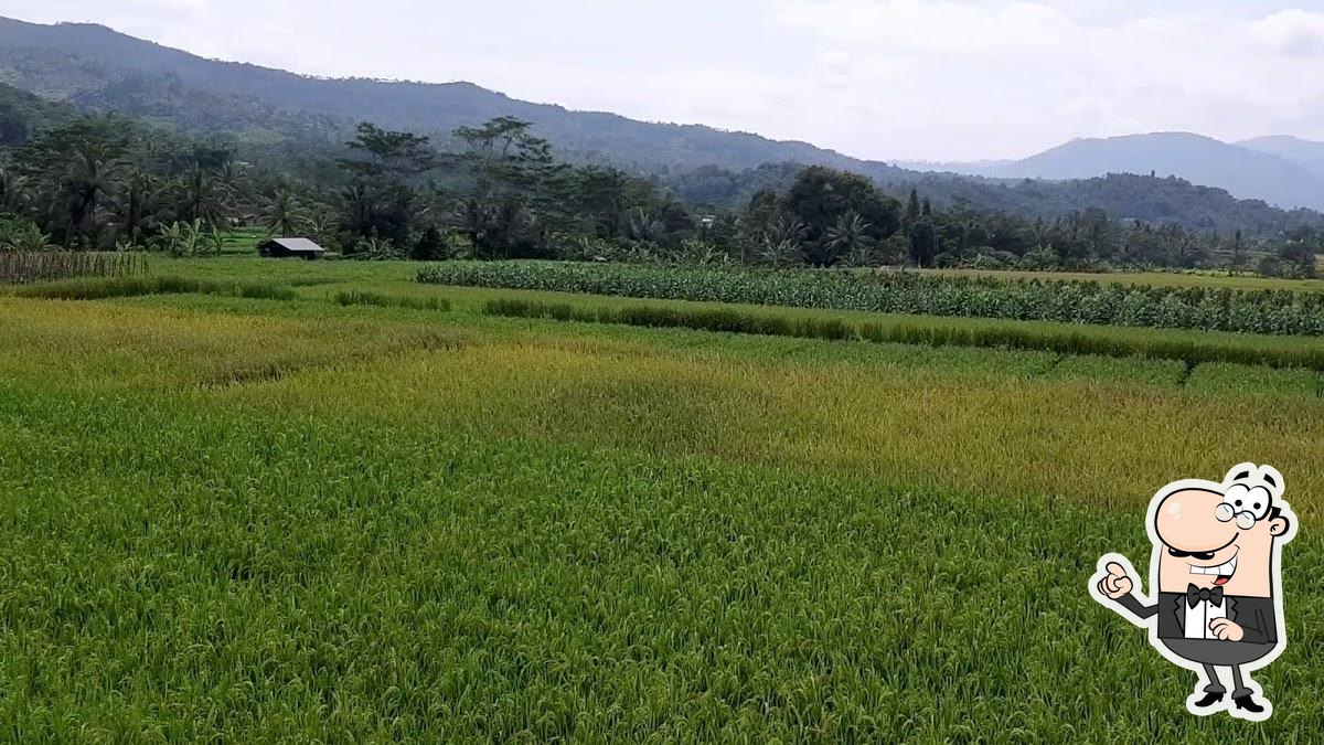 AGRO WISATA MINA PADI SAWAH LEGA cafe, Sundajaya Girang - Restaurant ...