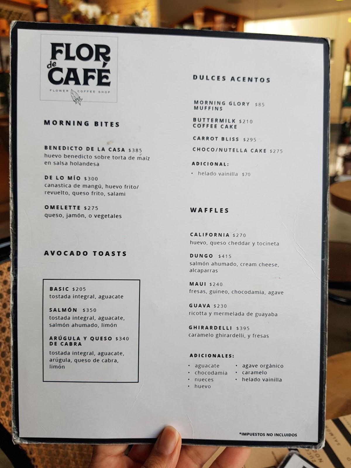 Carta de Flor de Café, Santo Domingo