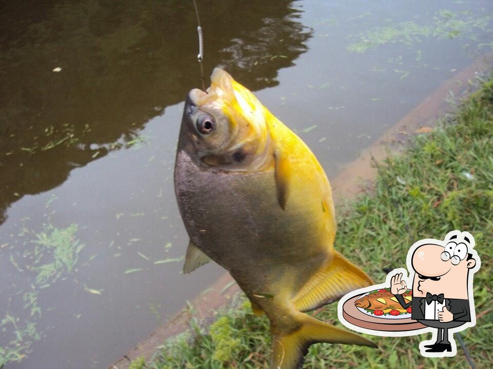 Pesqueiro Ishikawa, Londrina - Restaurant menu, prices and reviews